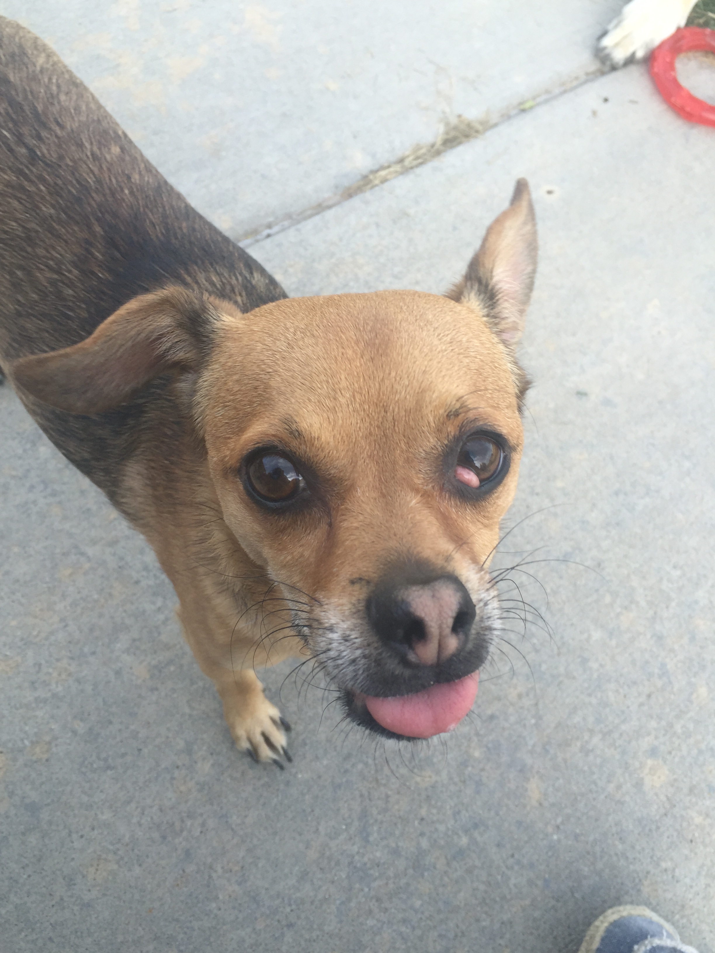 About – Tess Hunter